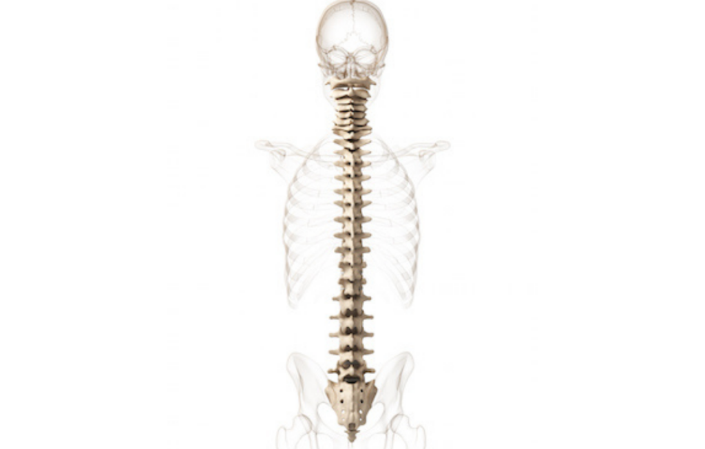 Taking Care of Your Spine - UOA, NJ Spine Surgeons